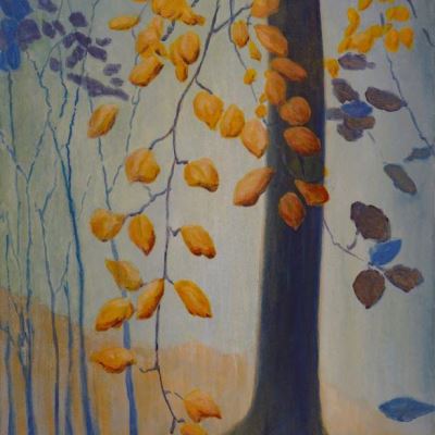 Artists Profile: Andy Farr