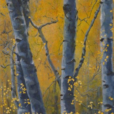 Artists Profile: Andy Farr