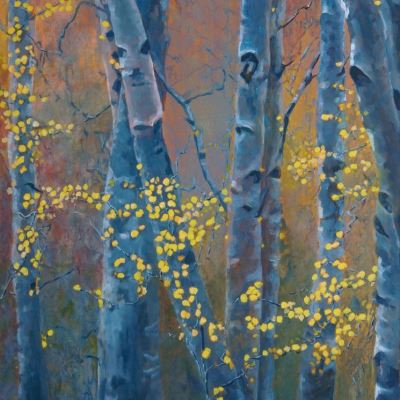 Artists Profile: Andy Farr