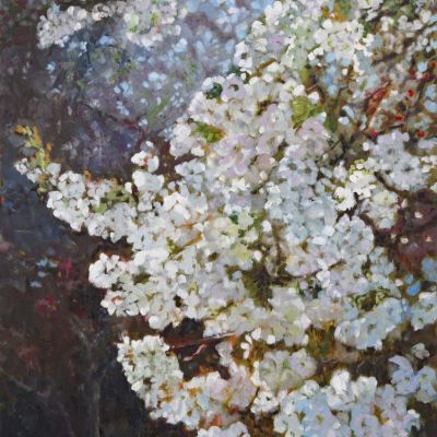 Artists Profile: Andy Farr