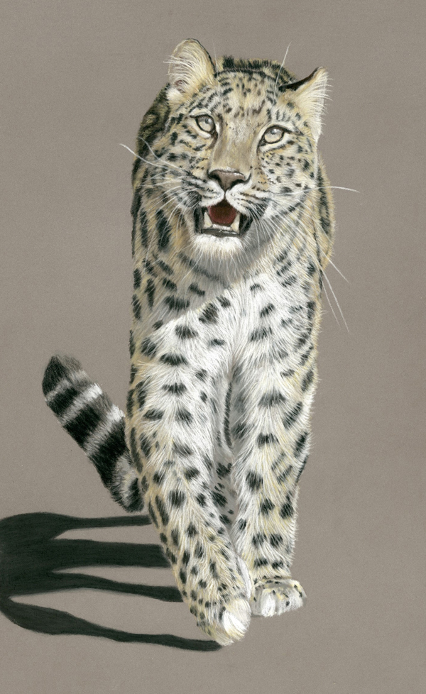 Artists Profile: Cate Wetherall